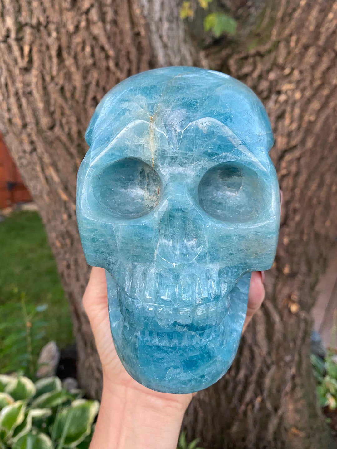 Exquisite Gemmy Aquamarine Skull, Large - Etsy