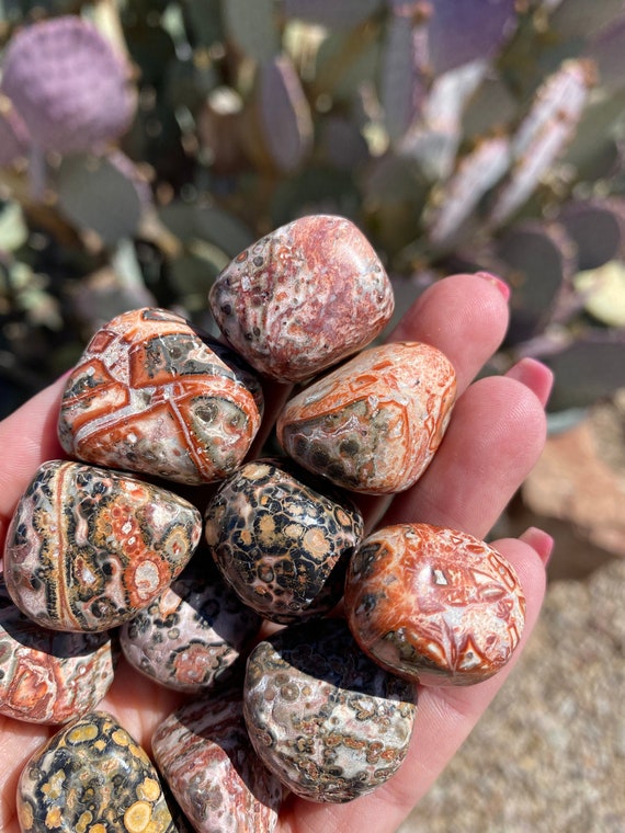 Leopard Skin Jasper