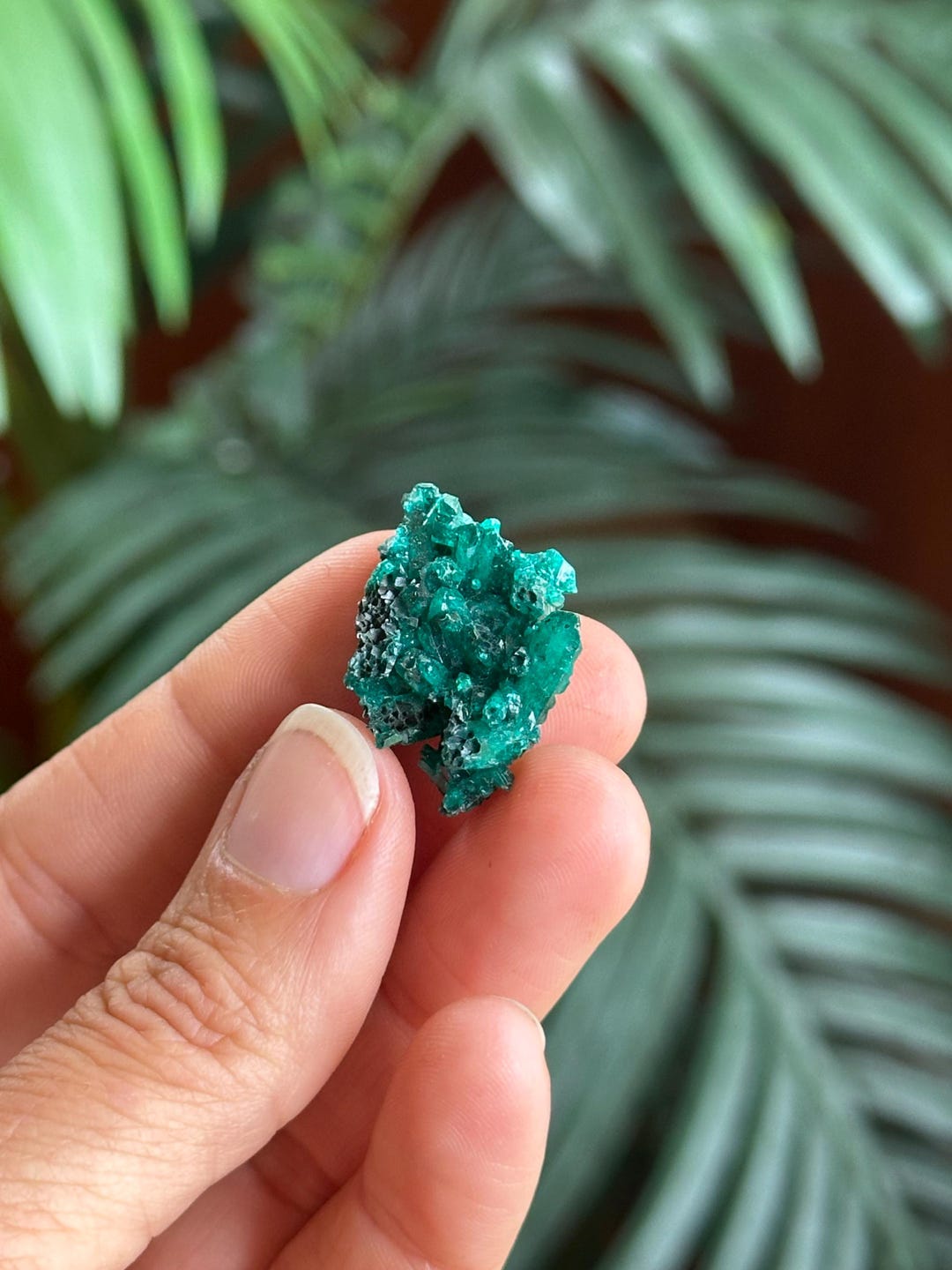Chrome Dioptase Cluster Specimen - Etsy