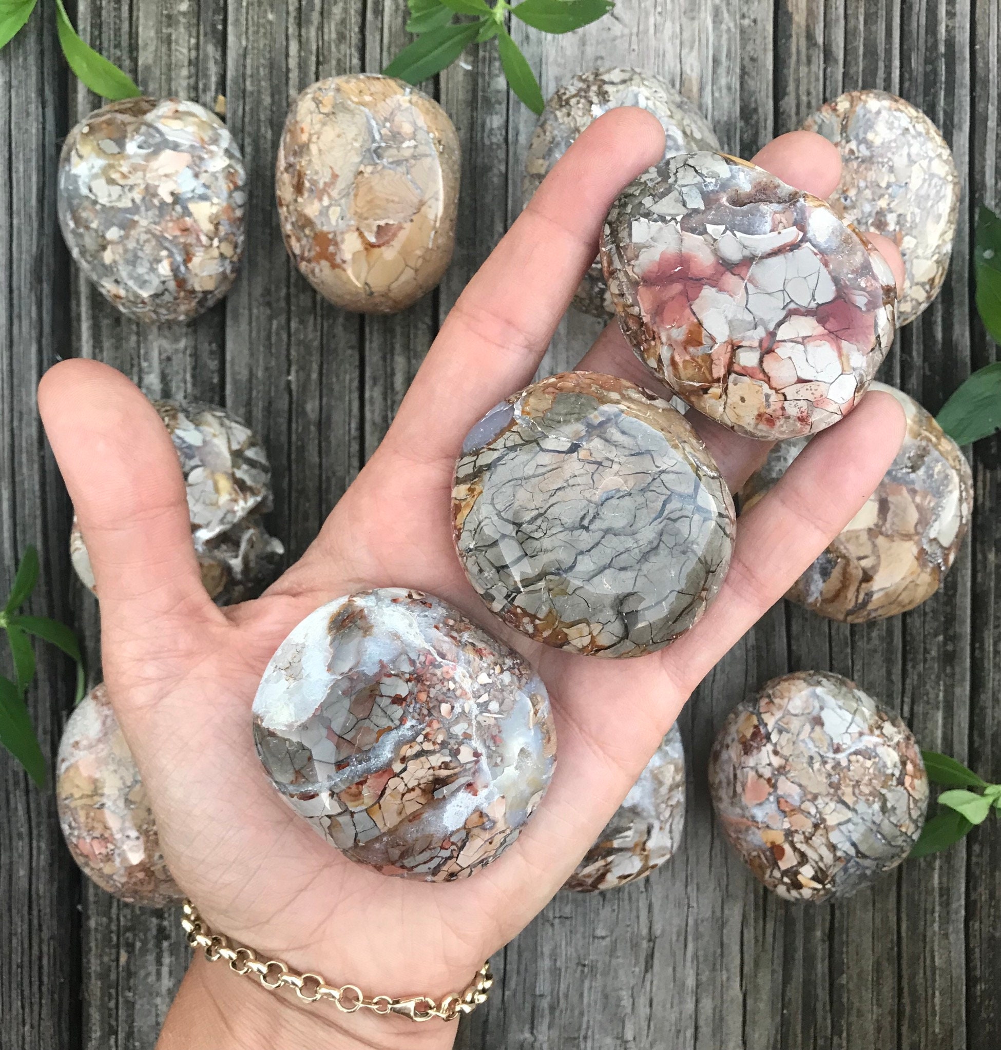 Ibis jasper palmstone Ibis jasper stone ibis jasper | Etsy