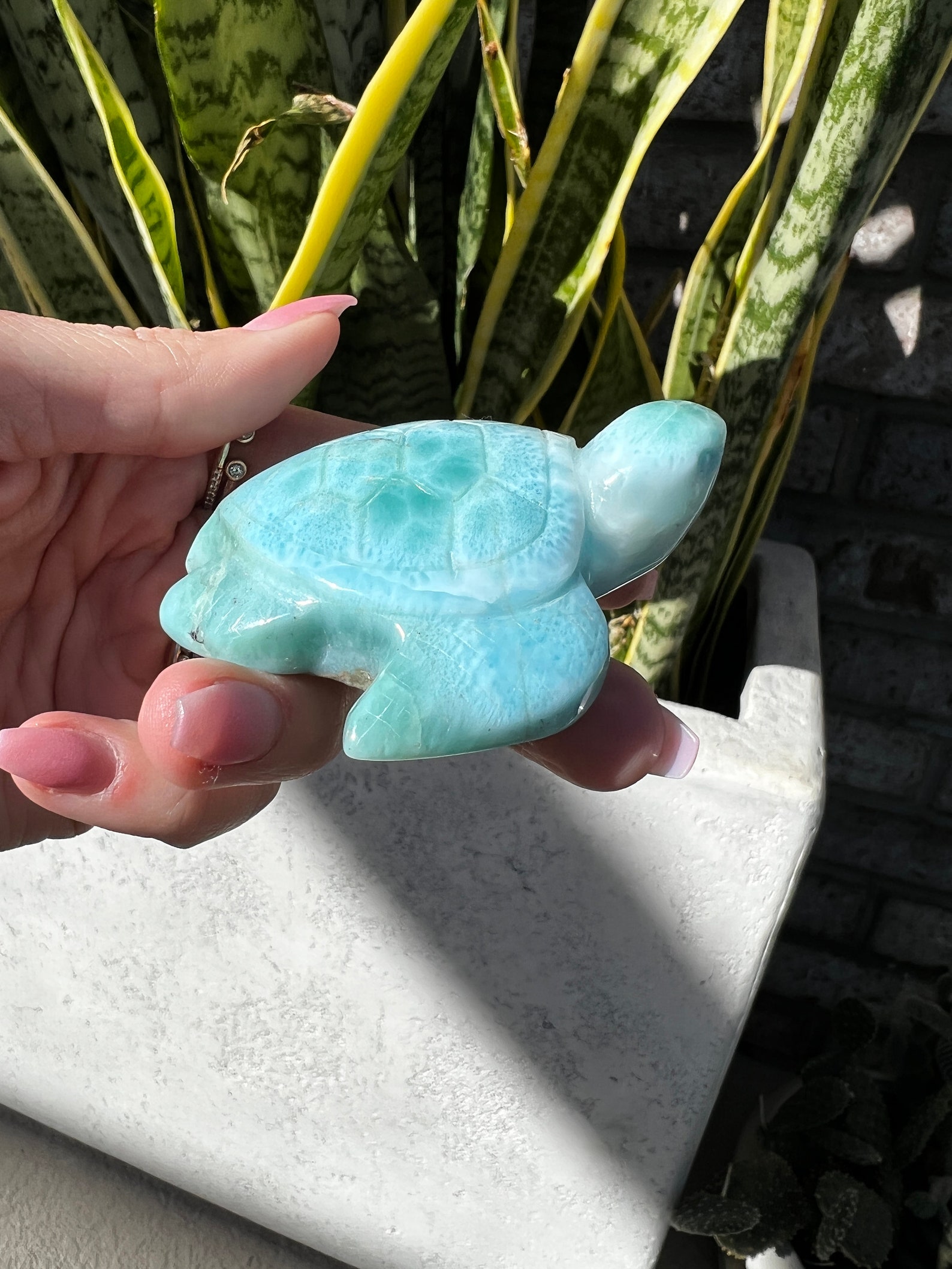 Larimar Turtle - Etsy