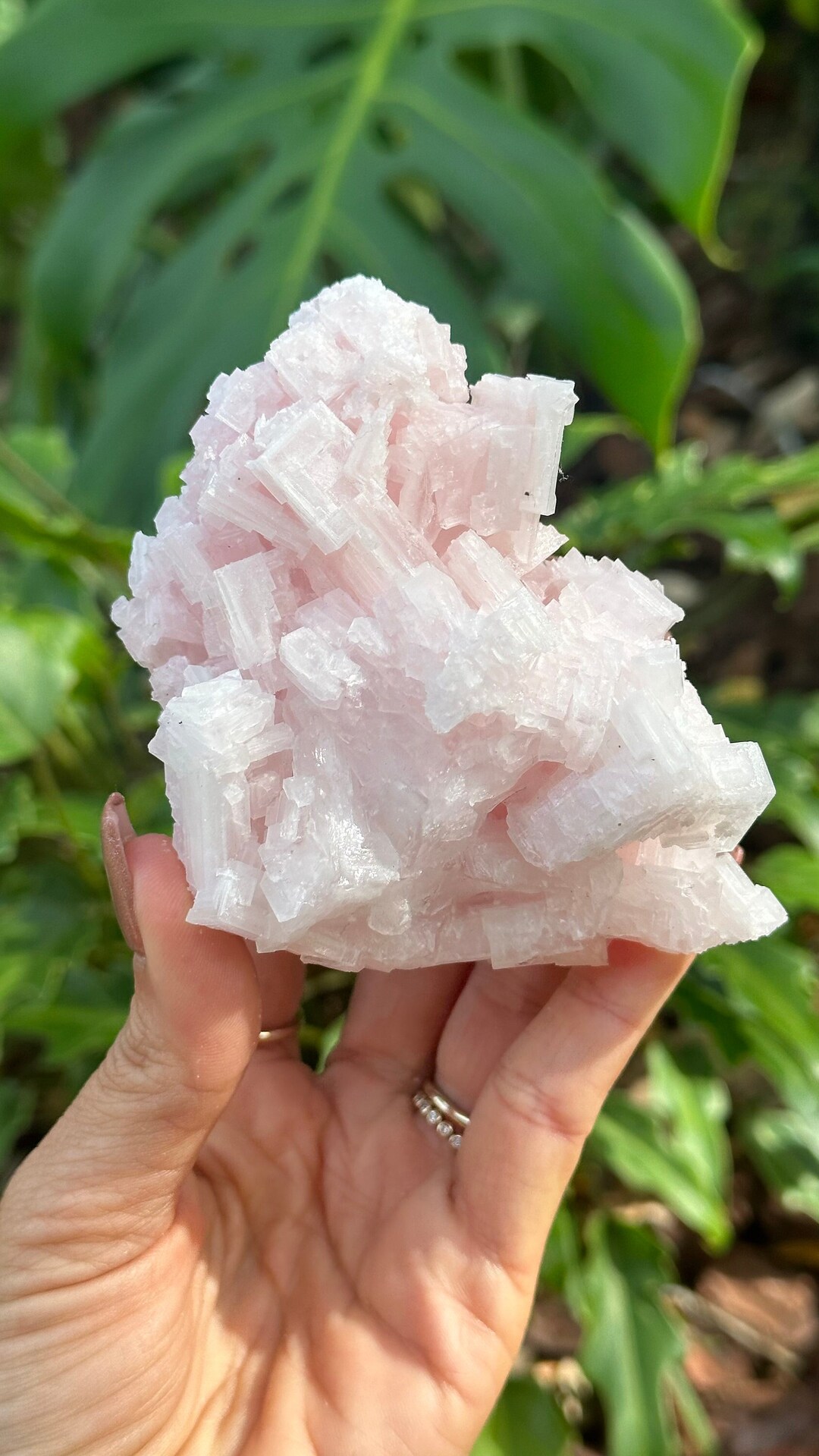 Pink Halite, Searles Lake, San Bernadino, Raw Pink Halite - Etsy
