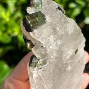 Watermelon Tourmaline in Quartz Specimen - Etsy