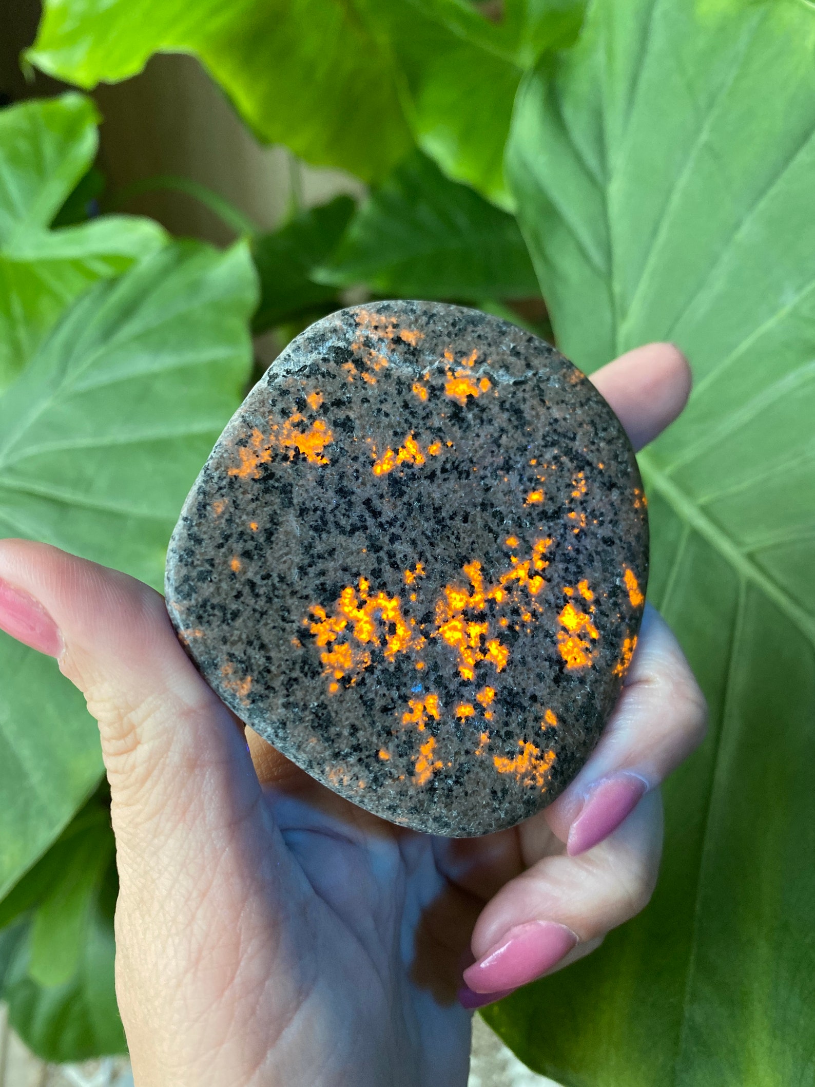 Yooperlite Palm Stone Emberlite Glowing Yooperlite Stone - Etsy