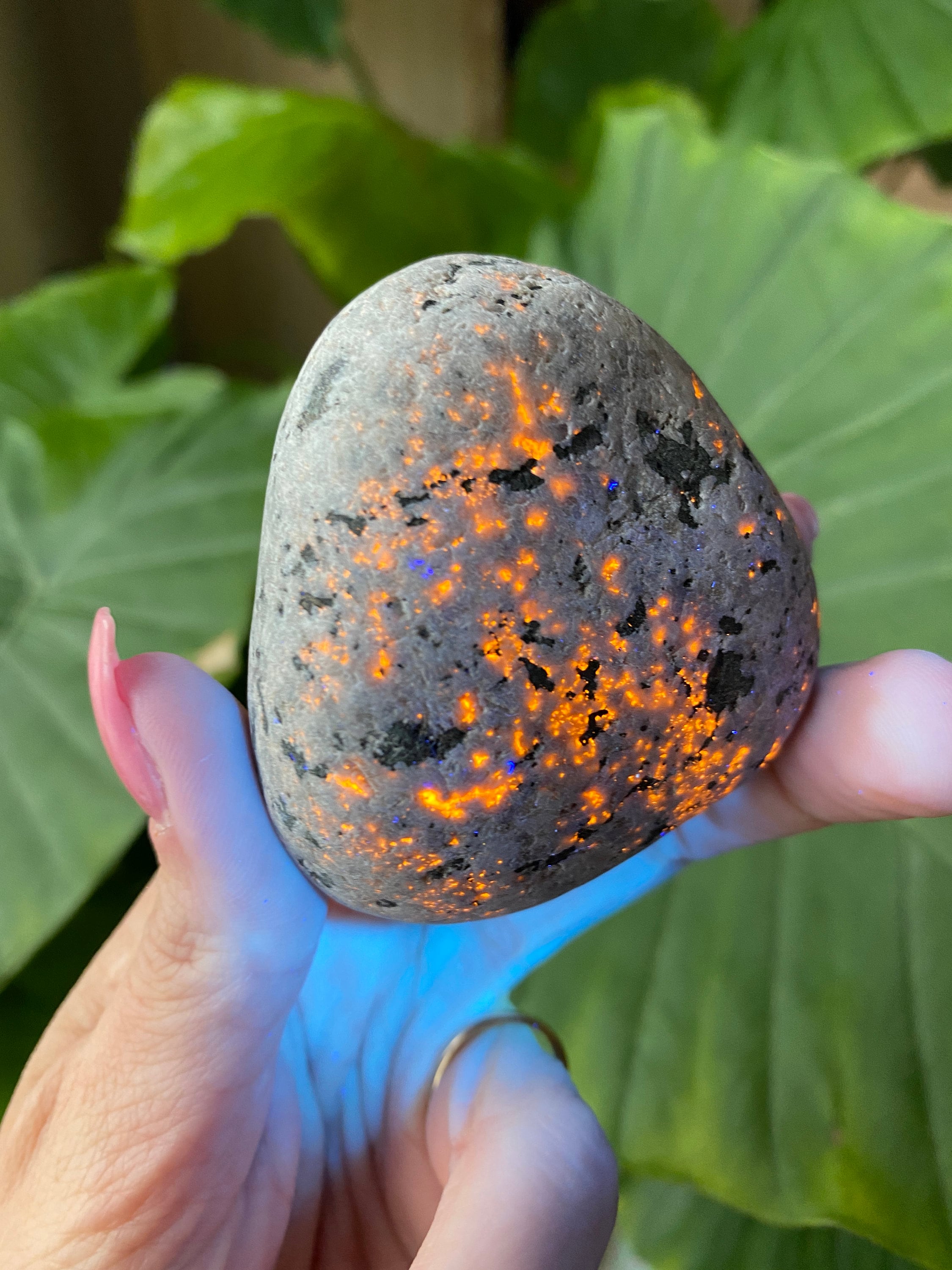 Yooperlite palm stone emberlite glowing yooperlite stone | Etsy