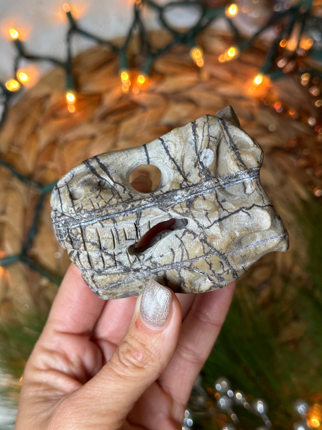 Piccasso Jasper T-rex Head Dinosaur Skull - Etsy