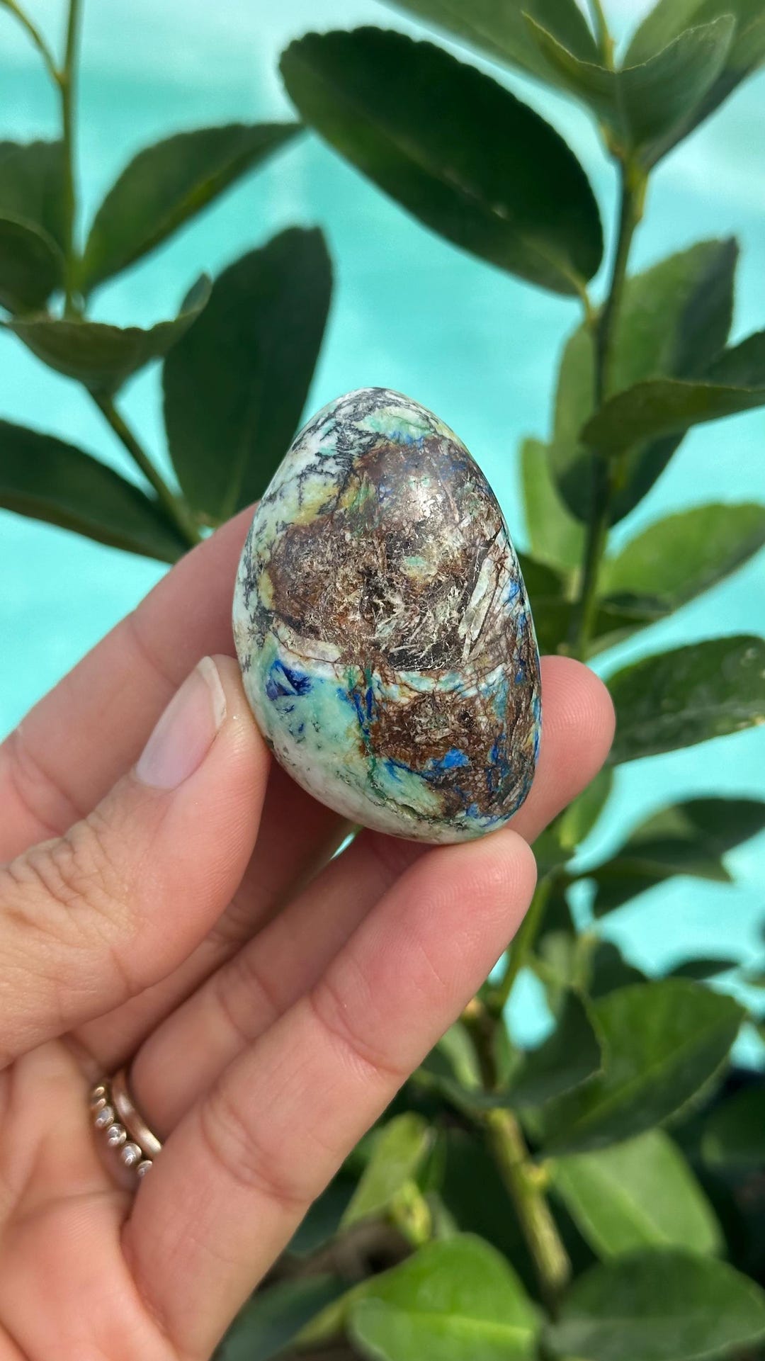 Azurite in Barite Palm Stone. NEW FIND - Etsy
