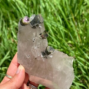 Watermelon Tourmaline in Quartz Specimen - Etsy