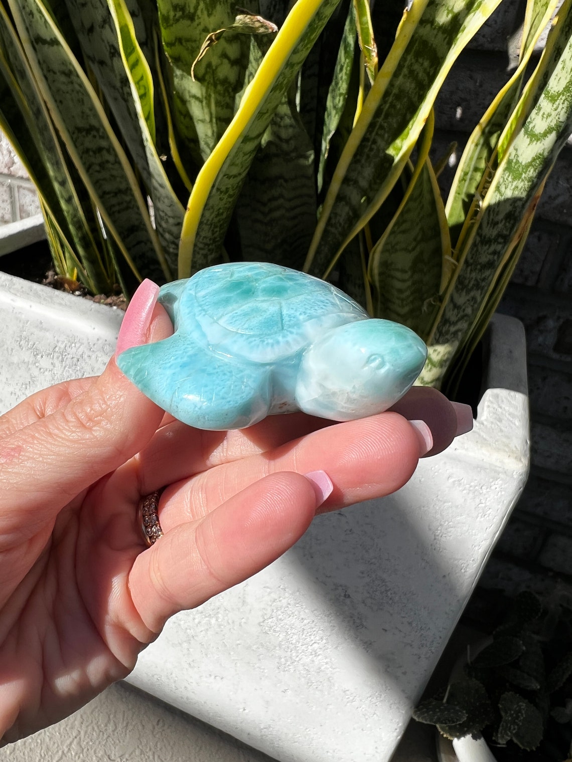 Larimar Turtle - Etsy