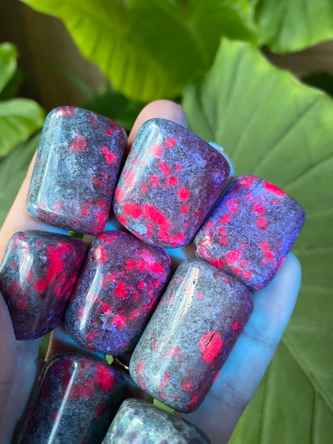 Tumbled Ruby in Kyanite Ruby in Kyanite UV Reactive | Etsy