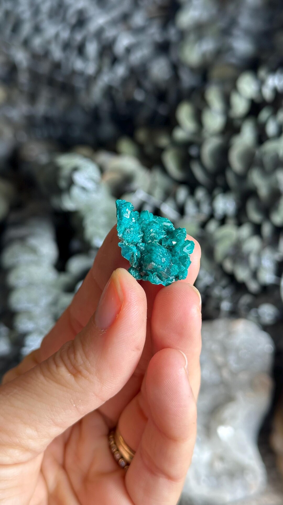 Chrome Dioptase Cluster Specimen - Etsy