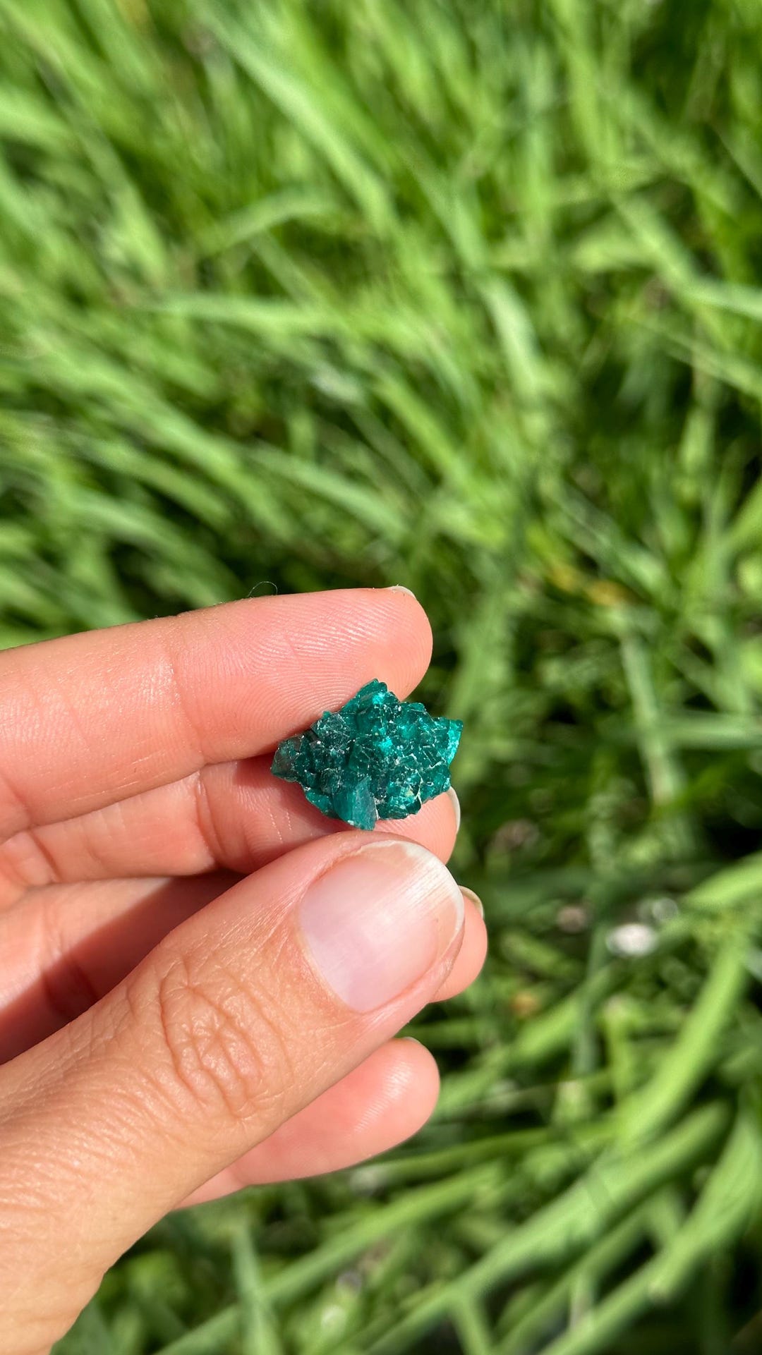 Chrome Dioptase Cluster Specimen - Etsy