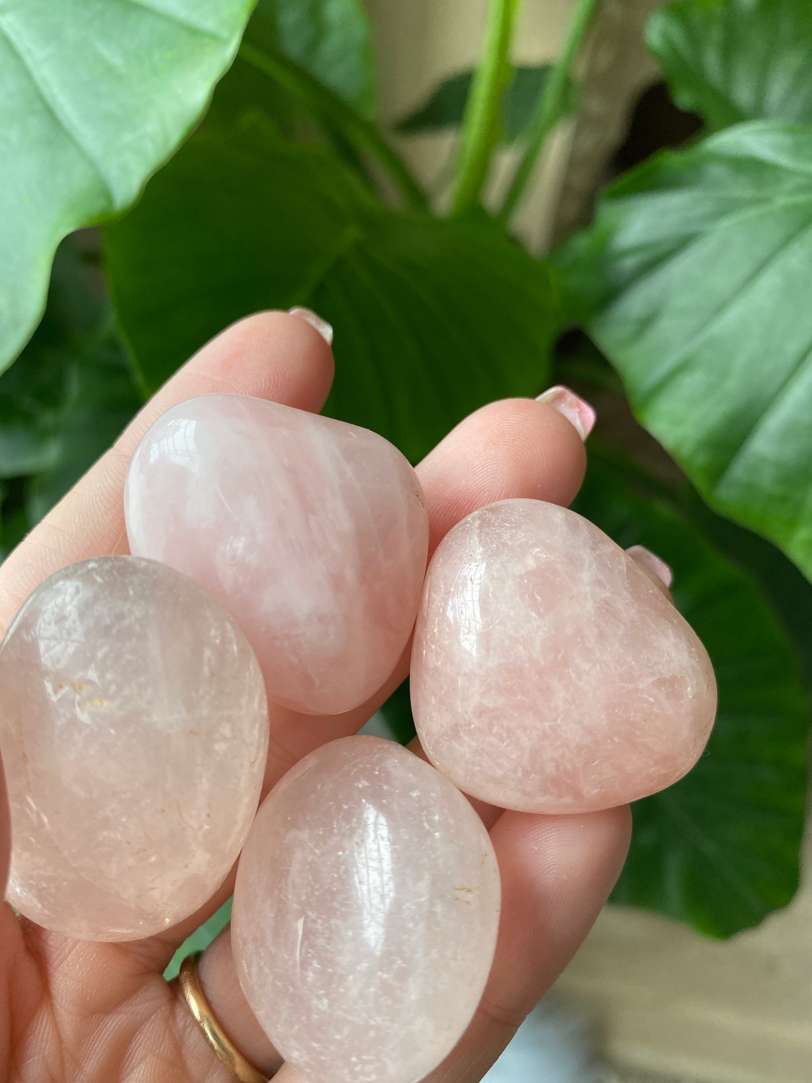 Tumbled Rose Quartz Rose Quartz Pebble Large Rose Quartz - Etsy