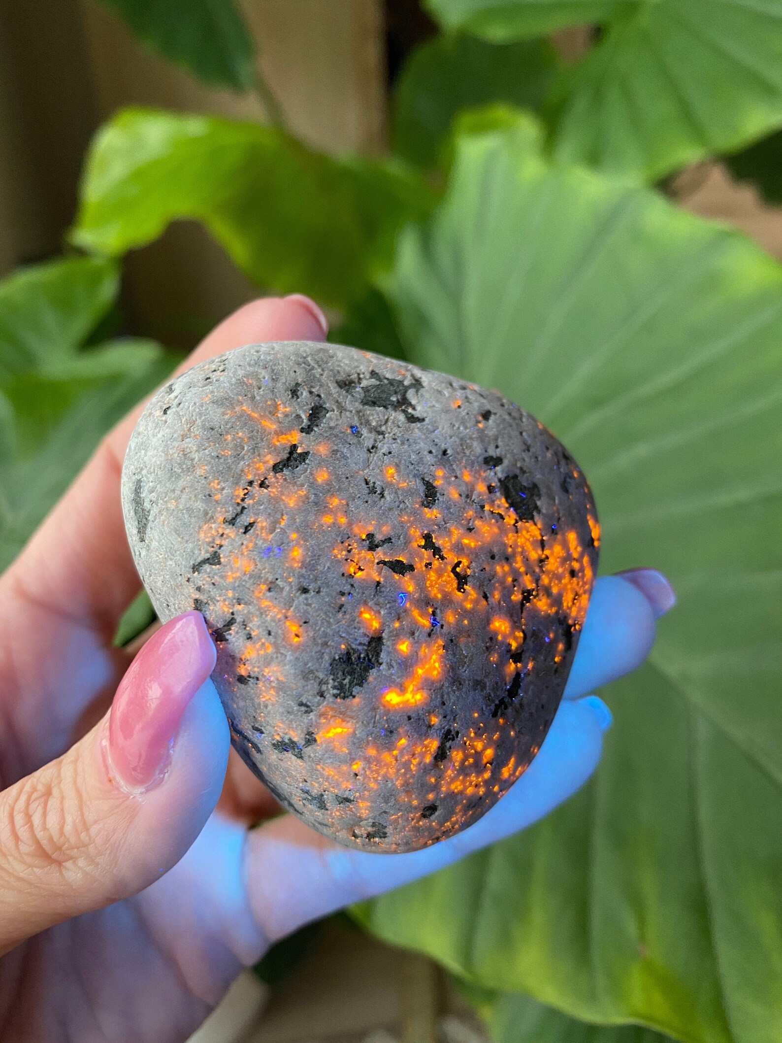 Yooperlite Palm Stone Emberlite Glowing Yooperlite Stone - Etsy