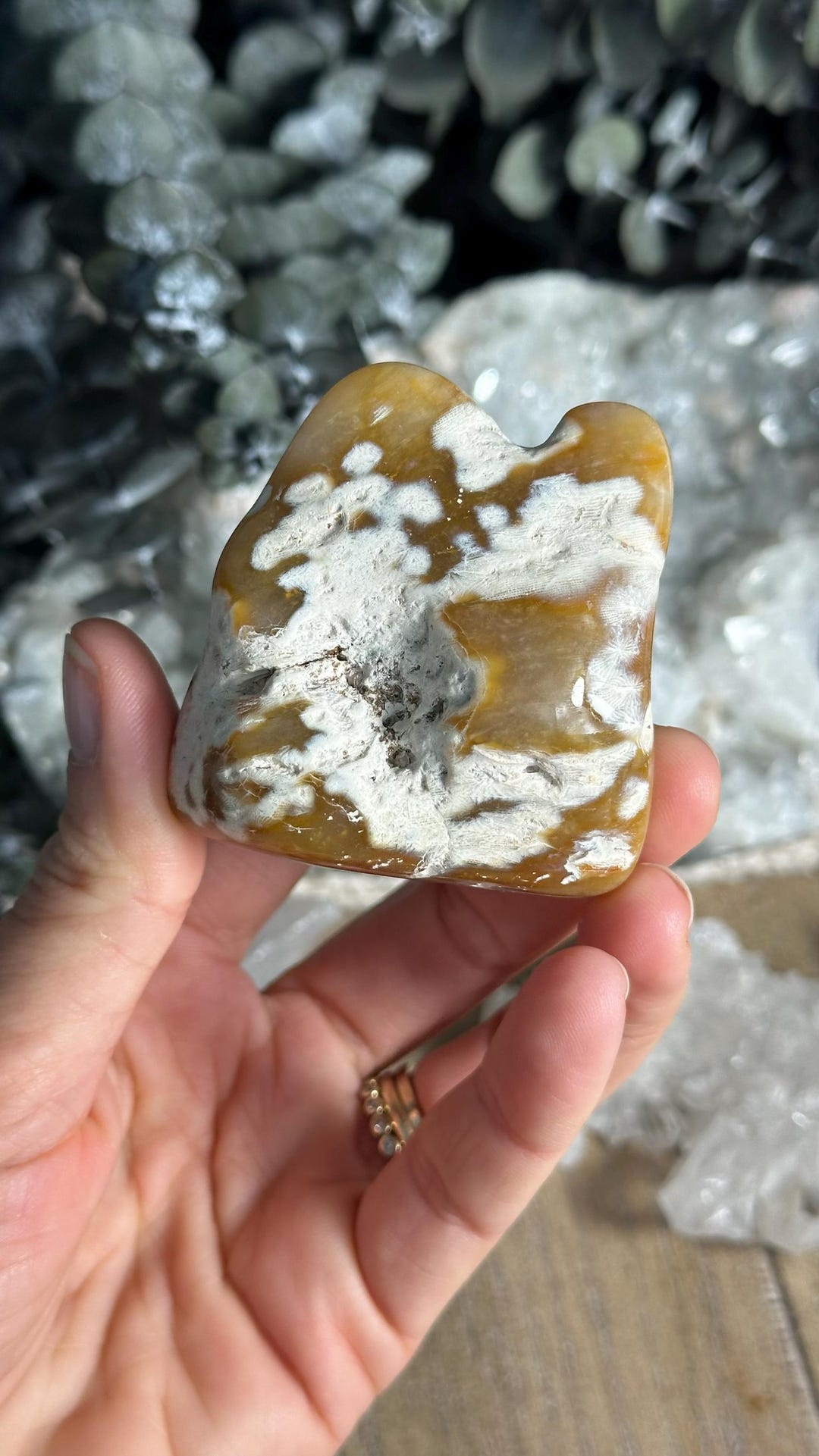 Florida Fossilized Coral Palm Stone, Agatized Coral Agate - Etsy