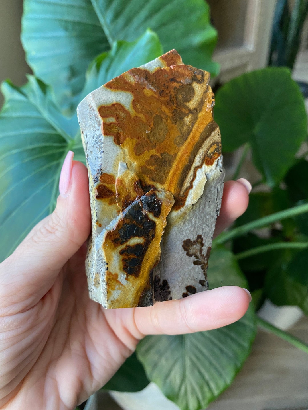 Dendrite Stone, Dendritic Jasper, Dendritic Granite, Utah - Etsy