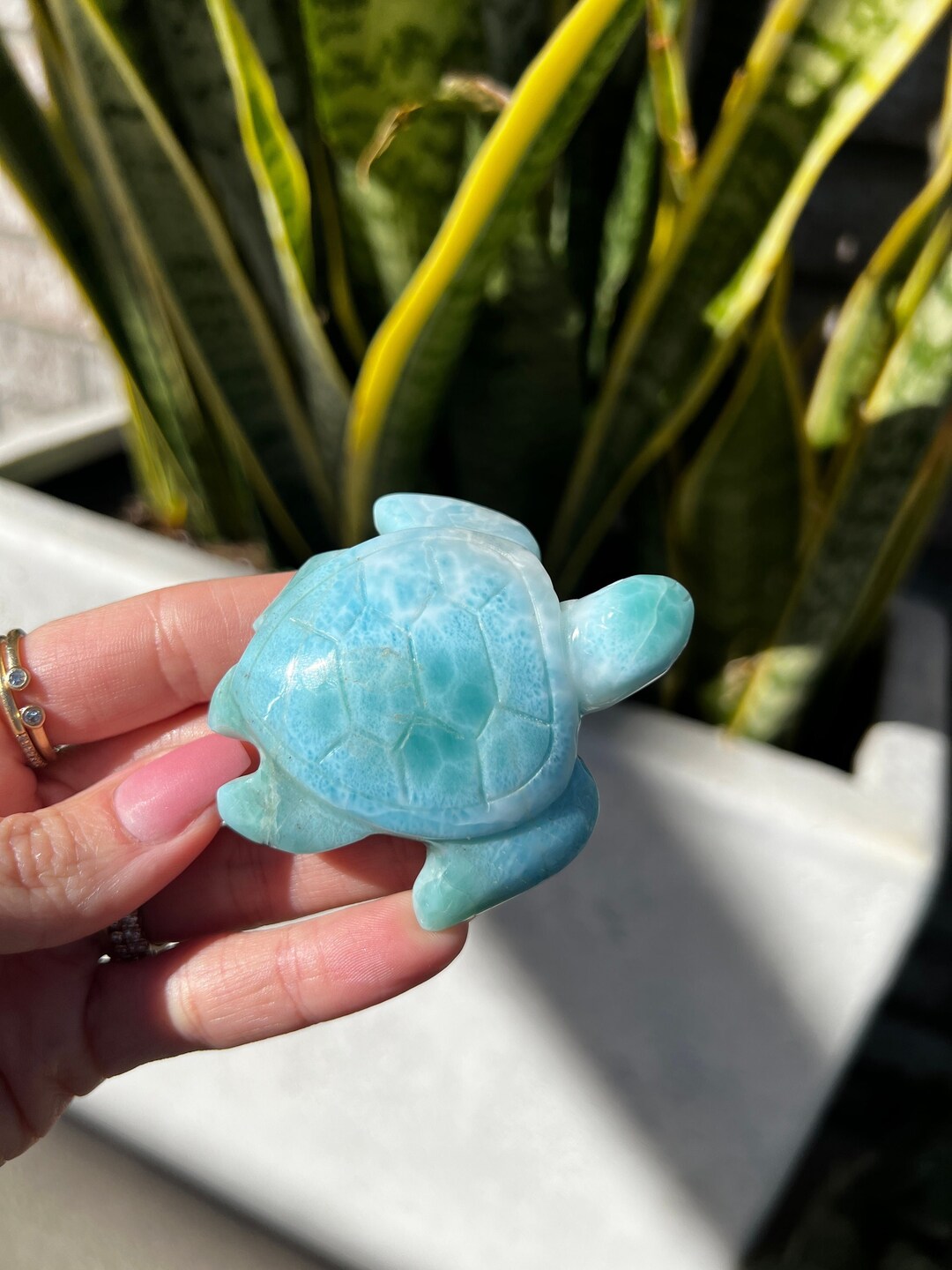 Larimar Turtle - Etsy