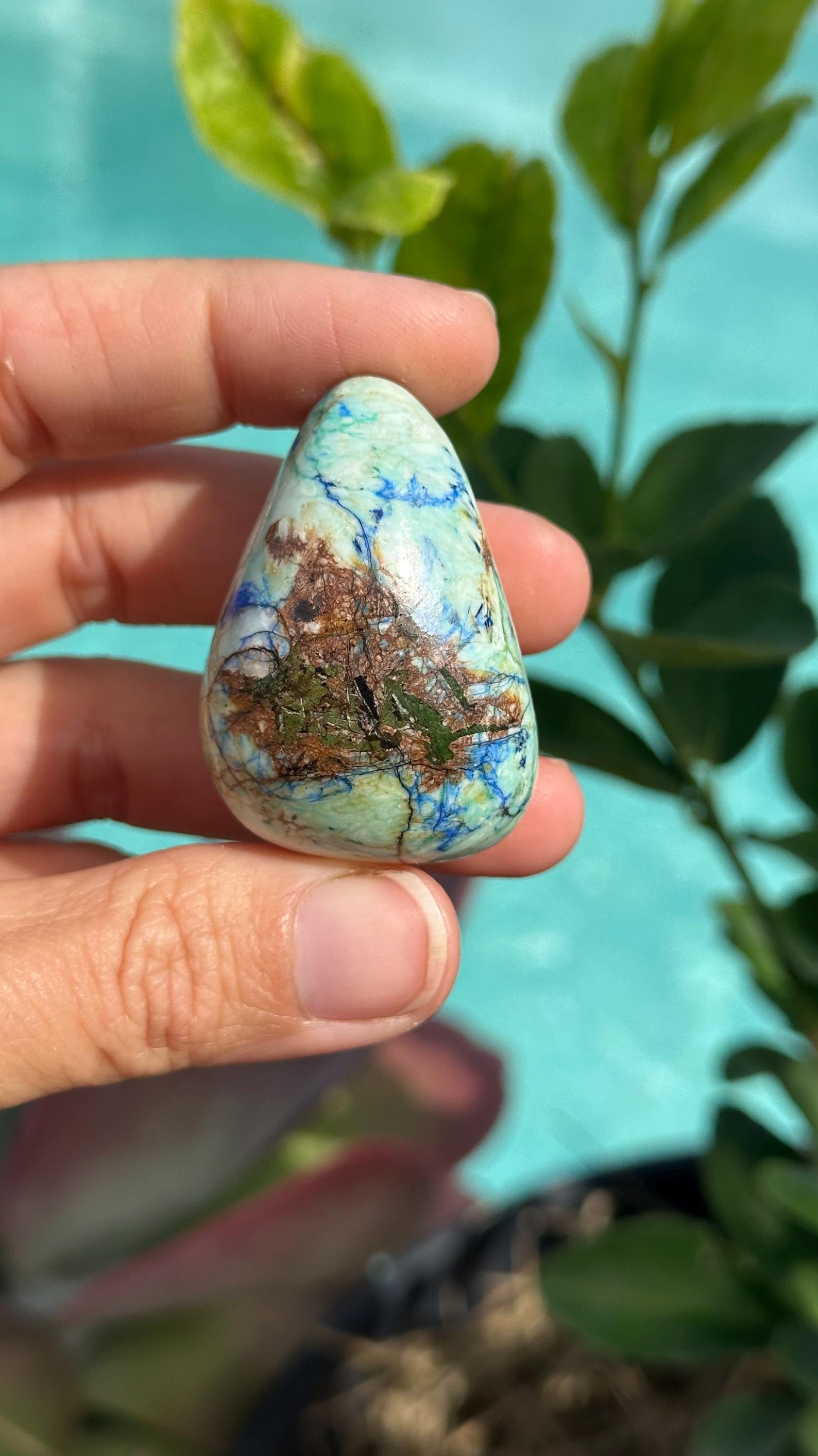 Azurite in Barite Palm Stone. NEW FIND - Etsy