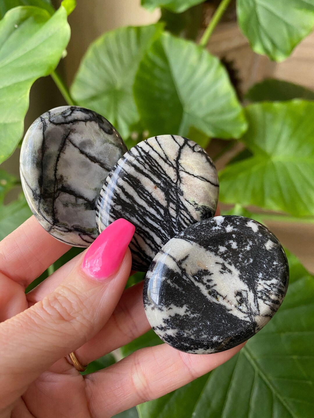 Picasso Jasper Worry Stone New Jasper Web Jasper - Etsy