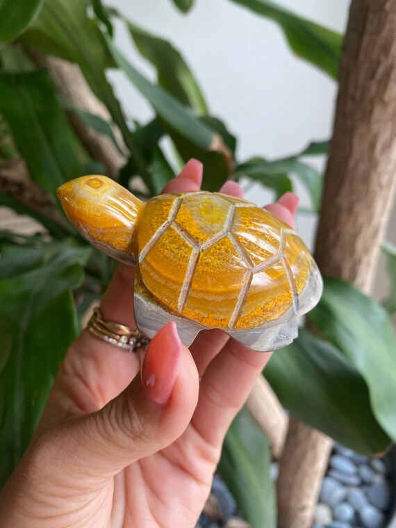Bumble Bee Jasper Turtle Bumble Bee Jasper Turtle Eclipse - Etsy