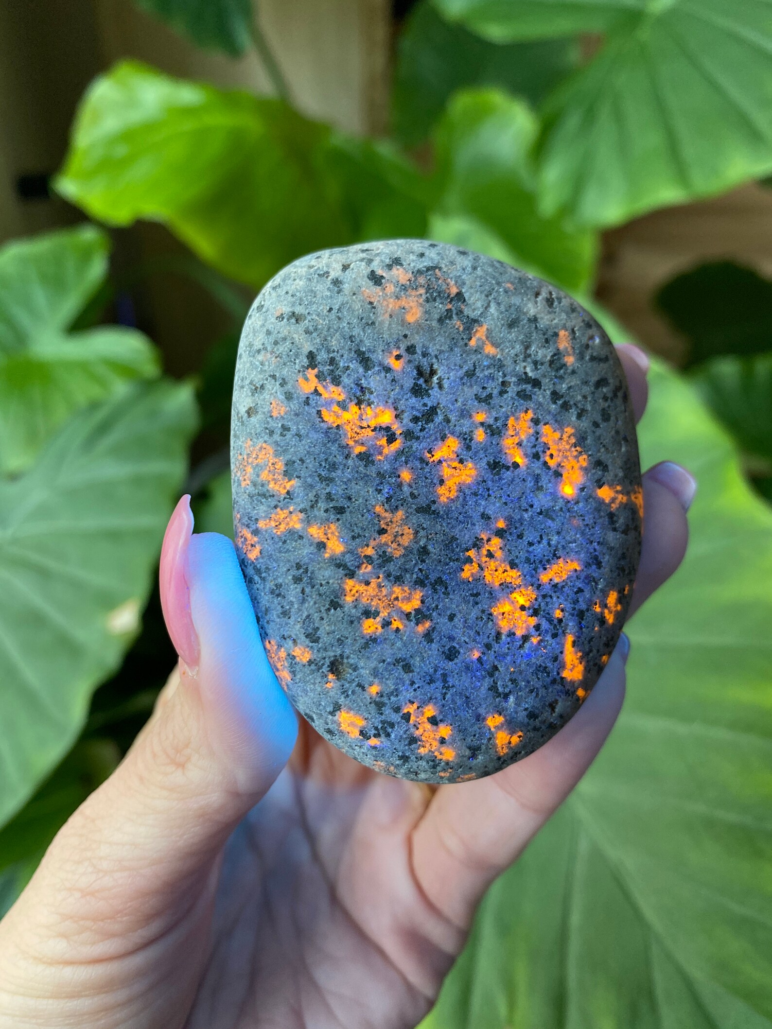 Yooperlite Palm Stone Emberlite Glowing Yooperlite Stone - Etsy