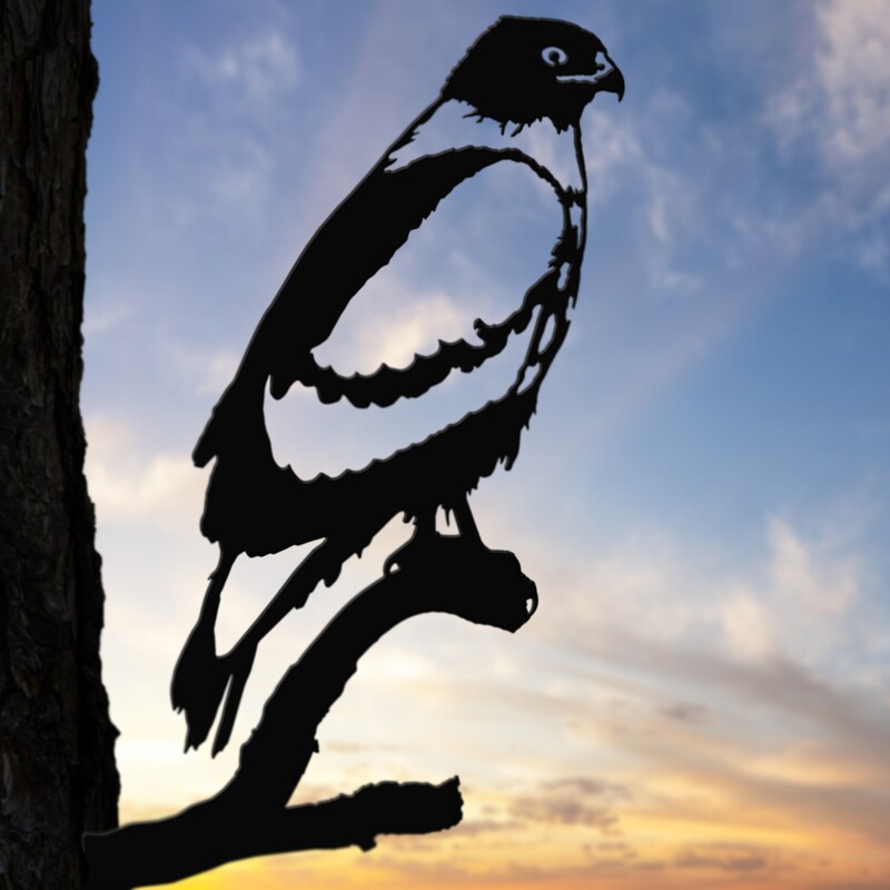 Metal Buzzard - Etsy UK