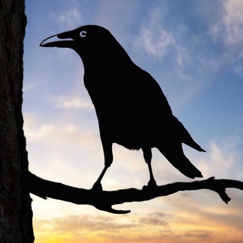 Crow in Tree - Etsy