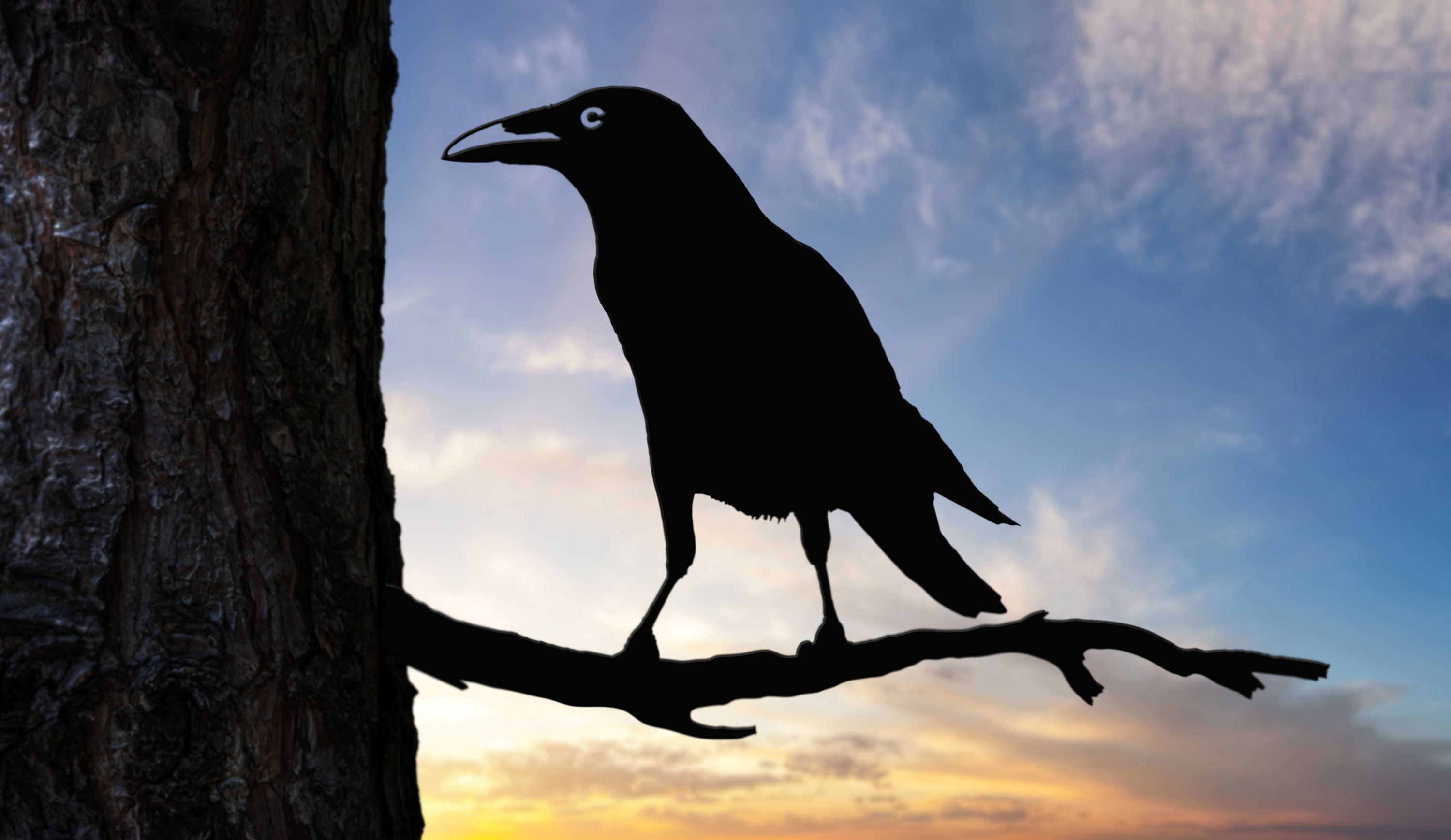Crow In Tree