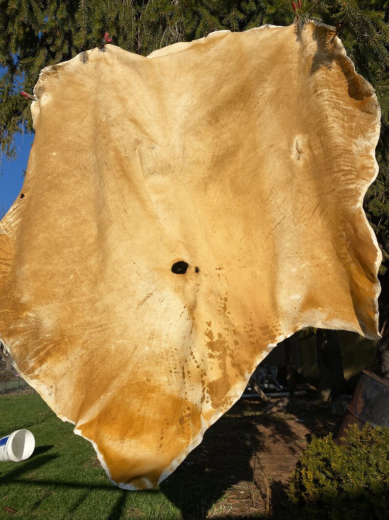 Braintan Sheep Hide SMOKED Buckskin Native American Style Primitive ...