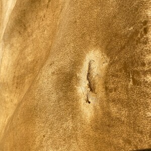 Braintan Sheep Hide SMOKED Buckskin Native American Style Primitive ...