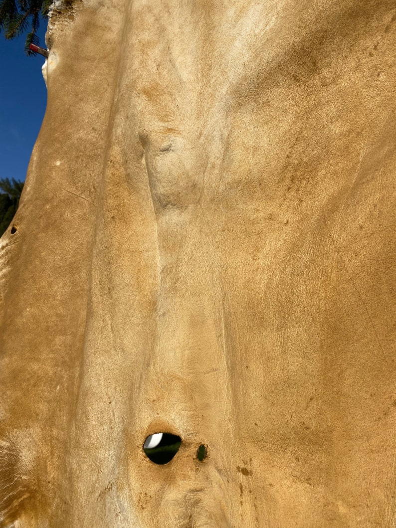 Braintan Sheep Hide SMOKED Buckskin Native American Style Primitive ...