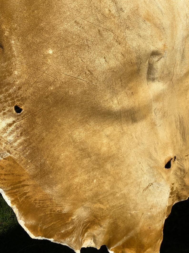 Braintan Sheep Hide SMOKED Buckskin Native American Style Primitive ...