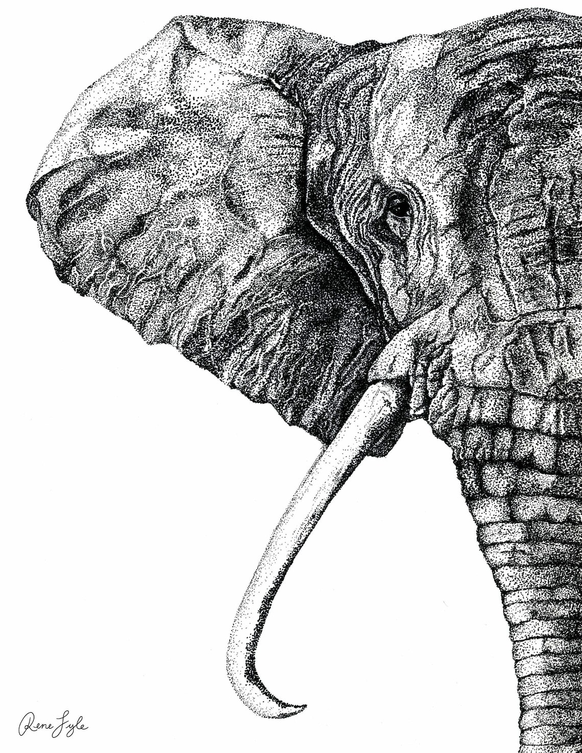 Elephant Stipple Print - Black and White - Pen & Ink - Etsy