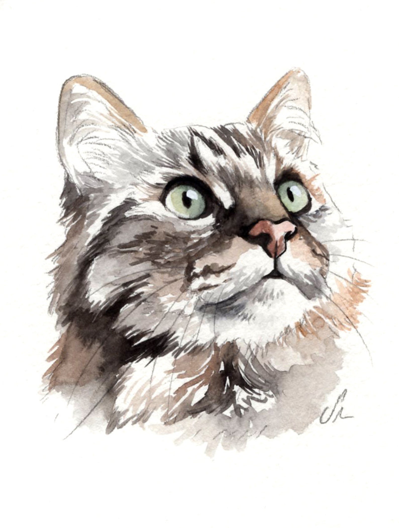 MINI Pet Portraits Simple Custom Pet Portrait. Animal Watercolor ...