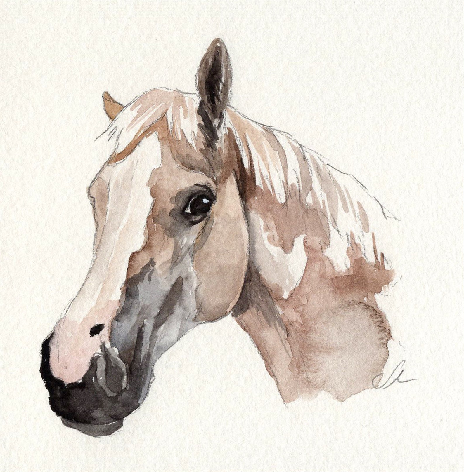 MINI Pet Portraits Simple Custom Pet Portrait. Animal Watercolor ...