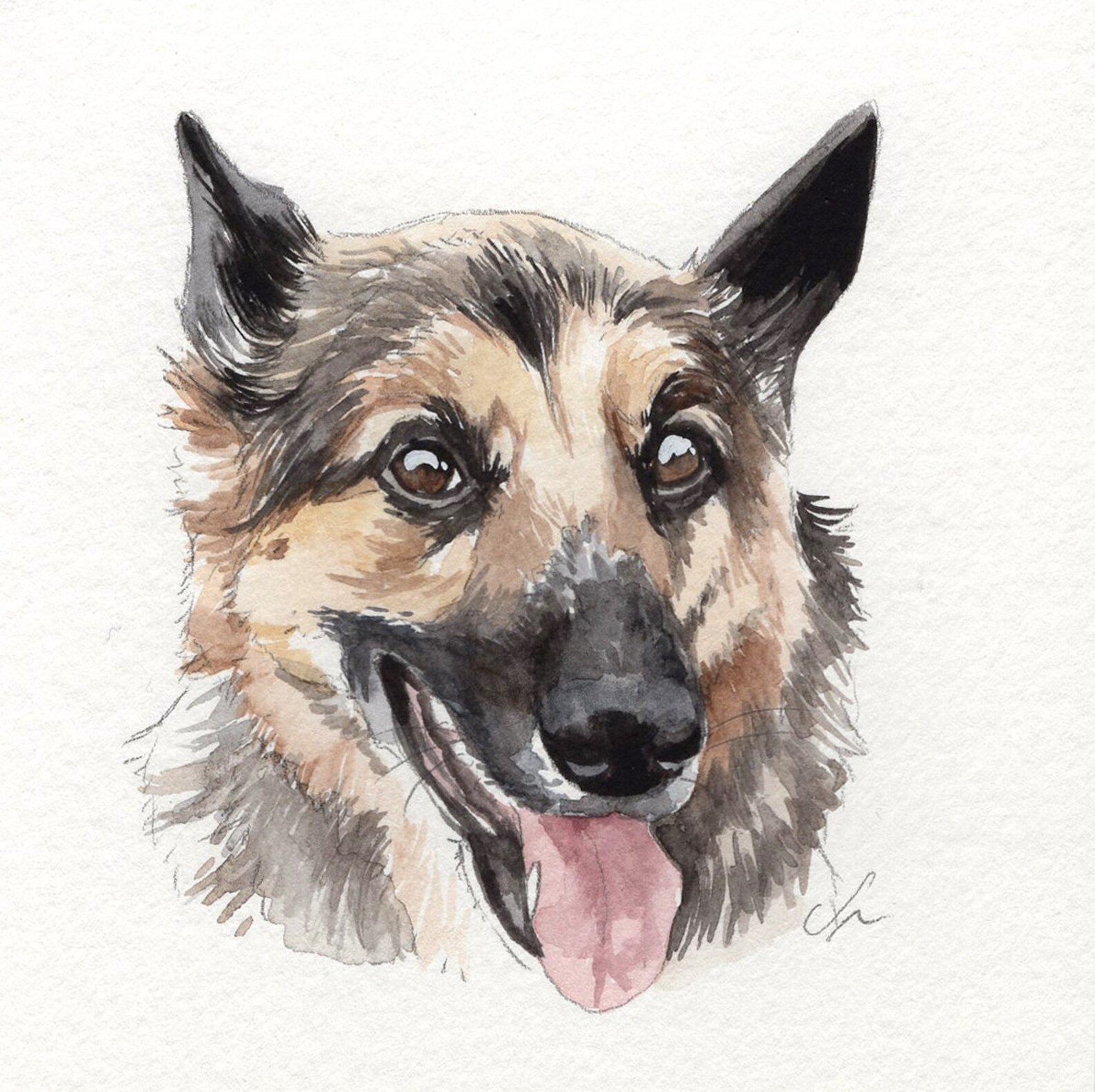 MINI Pet Portraits Simple Custom Pet Portrait. Animal Watercolor ...