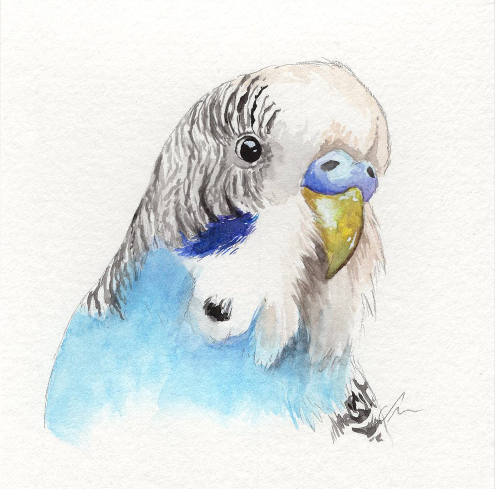 MINI Pet Portraits Simple Custom Pet Portrait. Animal Watercolor ...