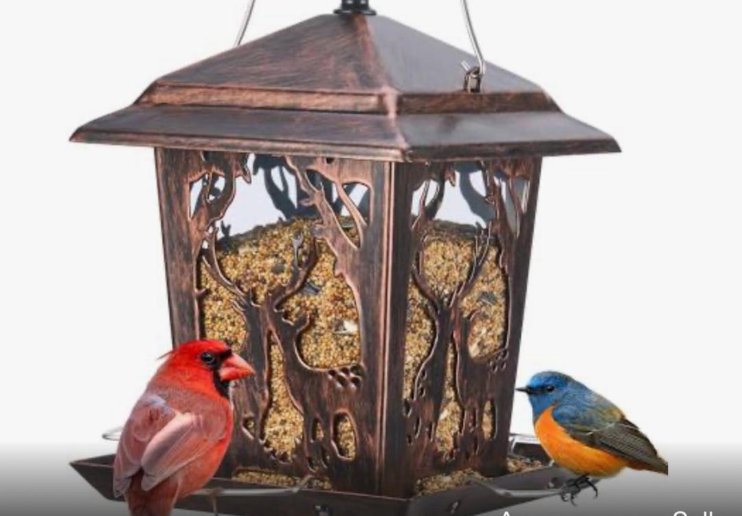 Gorgeous Bronze Hanging Metal Hopper Bird Feeder With Beautiful Accents ...