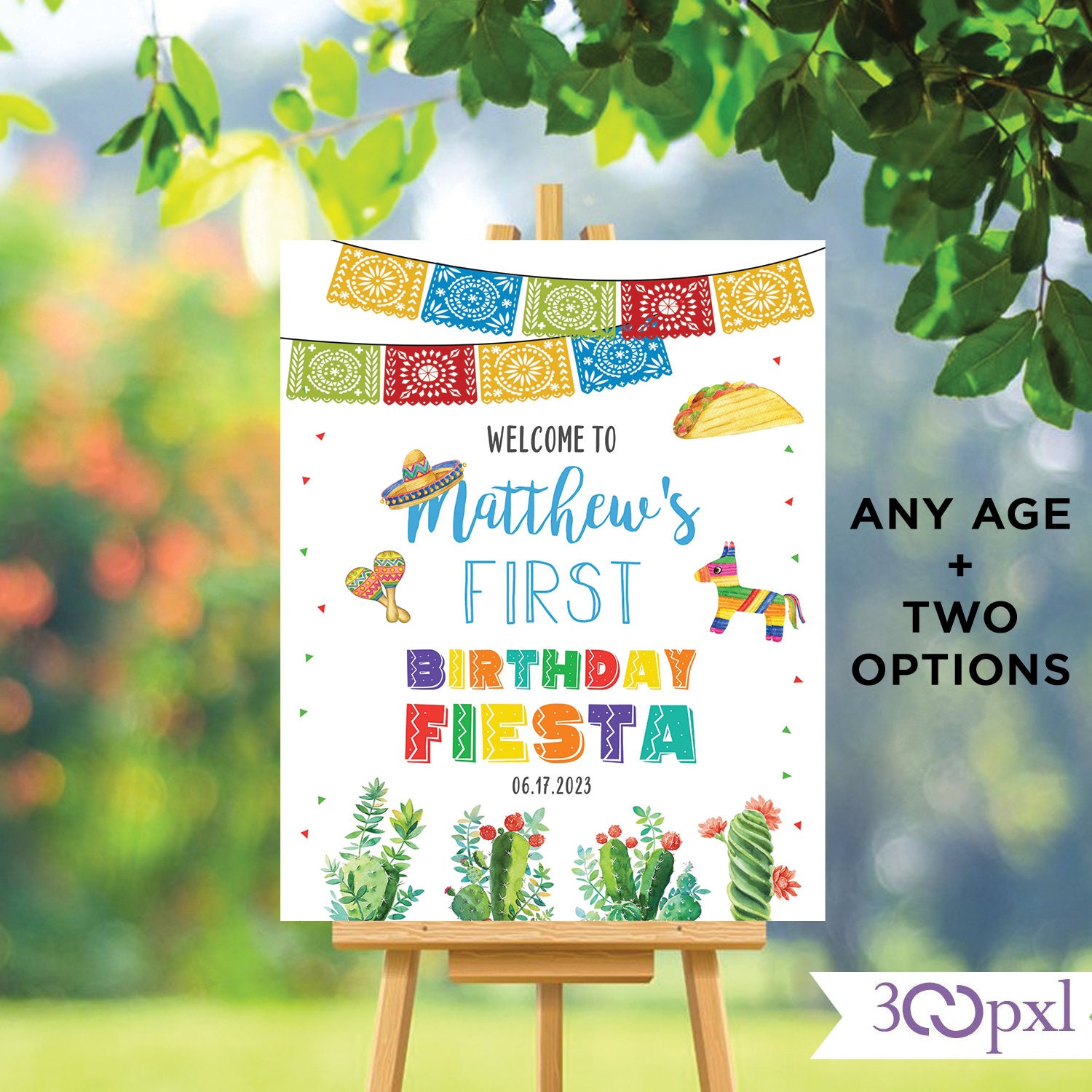 Fiesta Birthday Welcome Sign Boy Mexican Taco Fiesta Party - Etsy