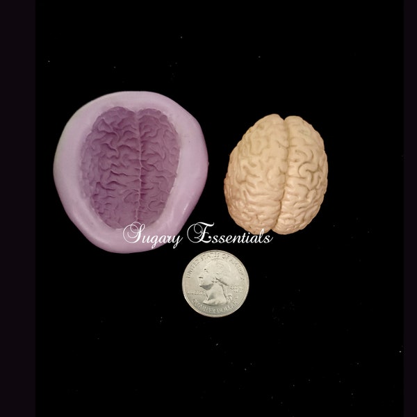 Brain Mold - Etsy