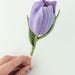 Tulip Veiner - Etsy