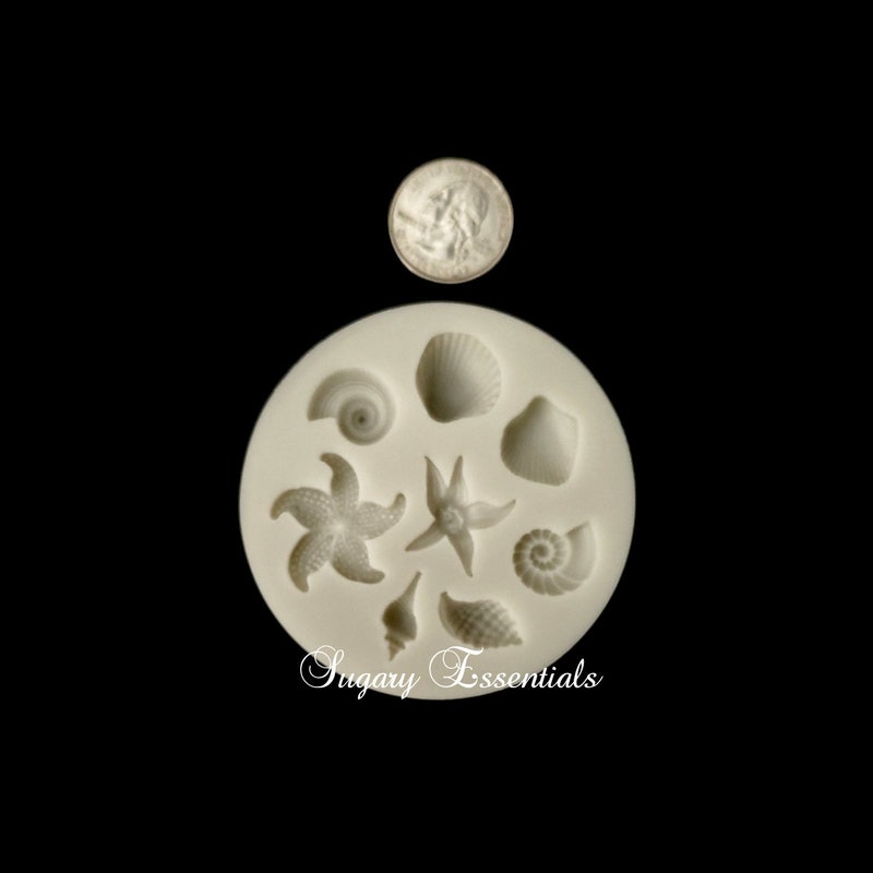 Seashell Mold - Etsy