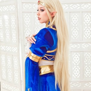 Princess Zelda Blue Royal Cosplay Dress From Breathe of the Wild - Etsy