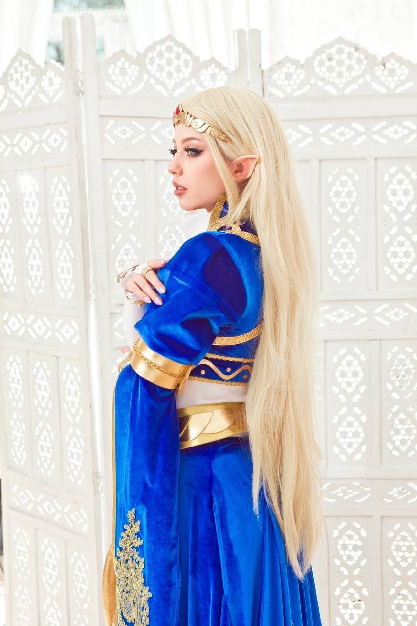Princess Zelda Blue Royal Cosplay Dress From Breathe of the - Etsy ...