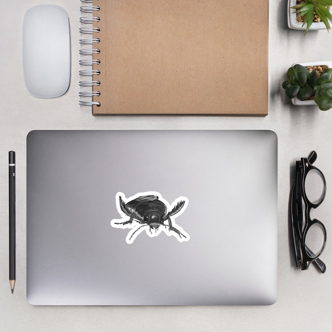 Dive Beetle Sticker - Etsy