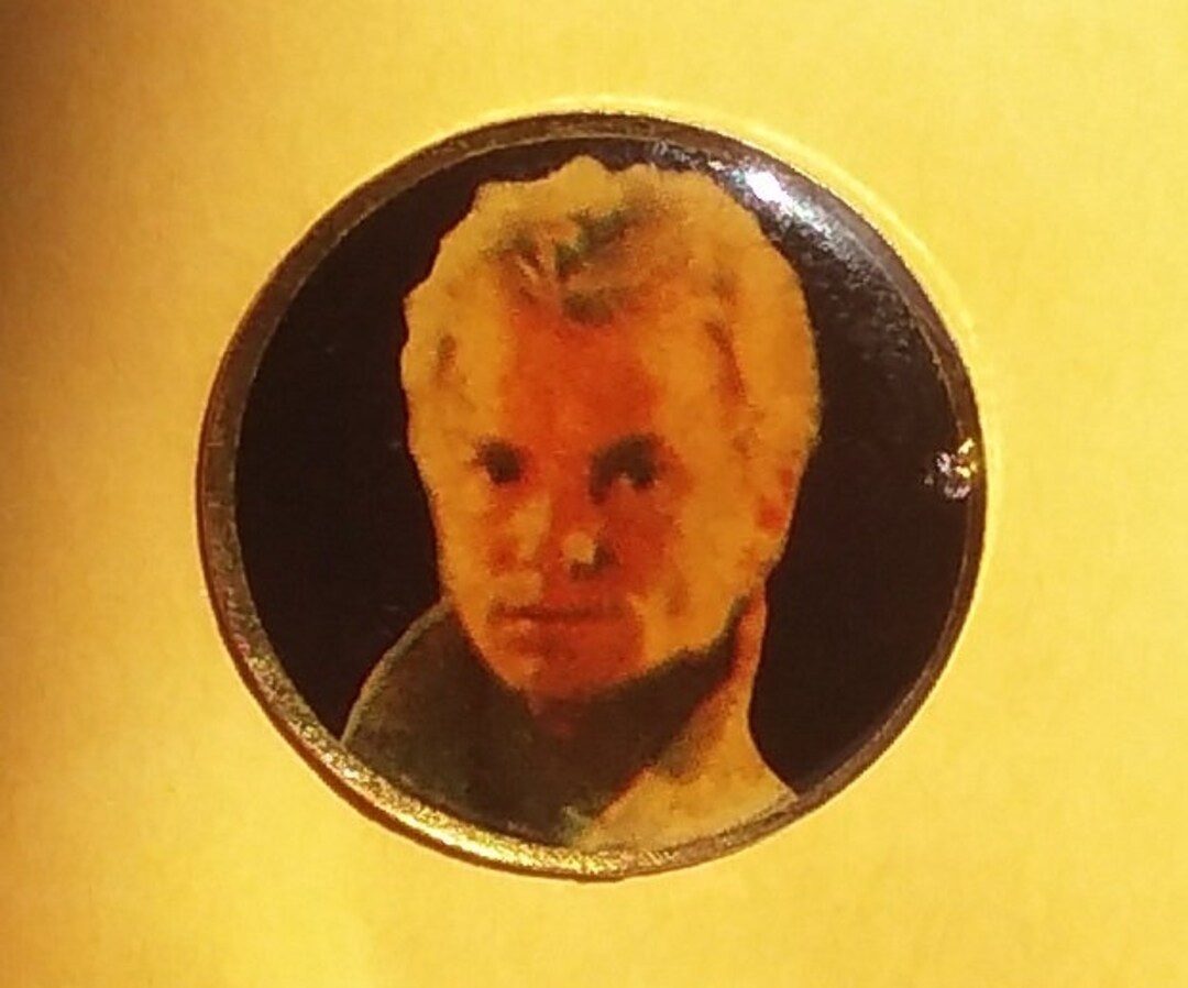 Sting Pin Badge the Police - Etsy