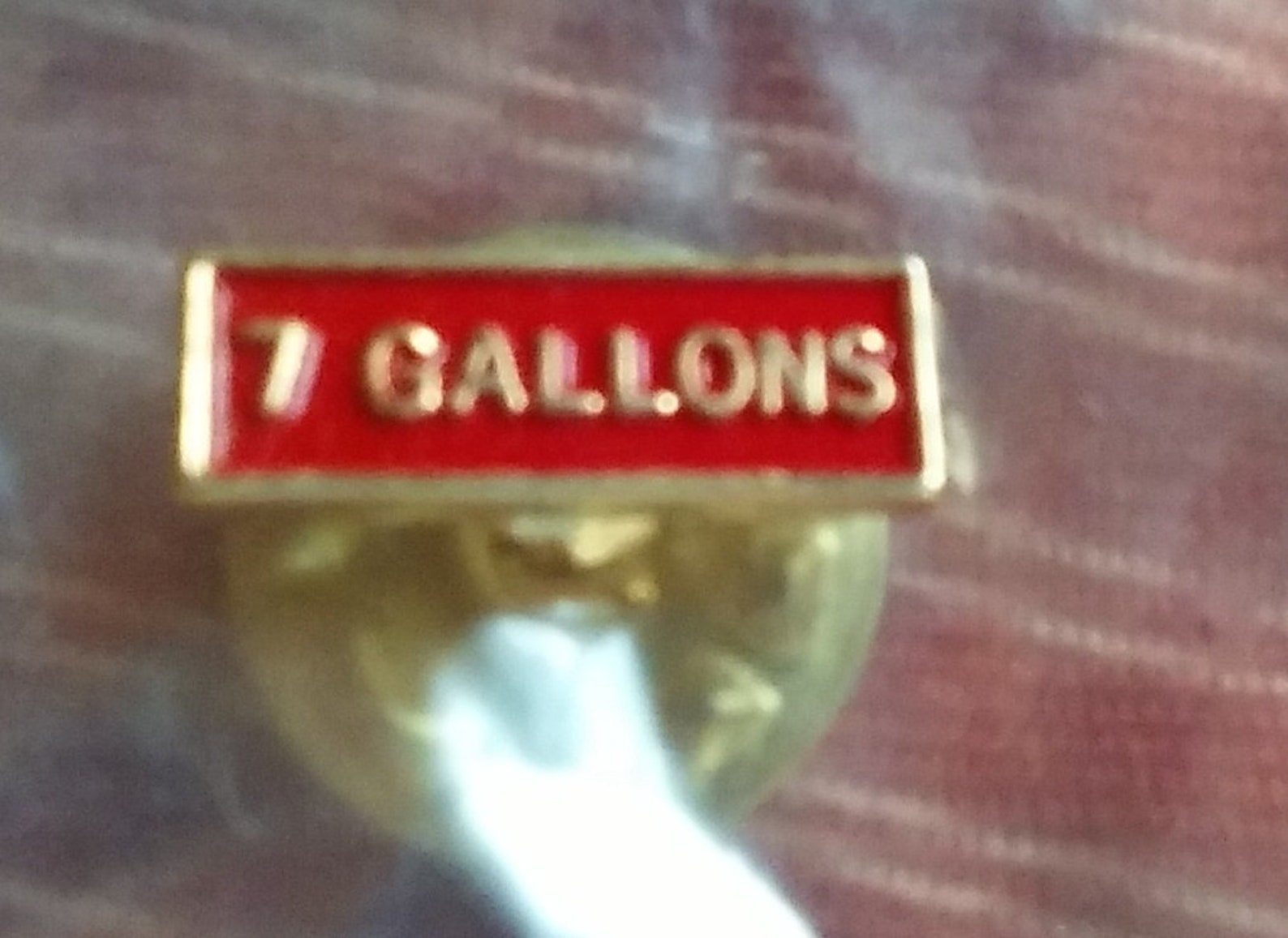 Gallon Enameled Lapel Pin Pre-owned | Etsy