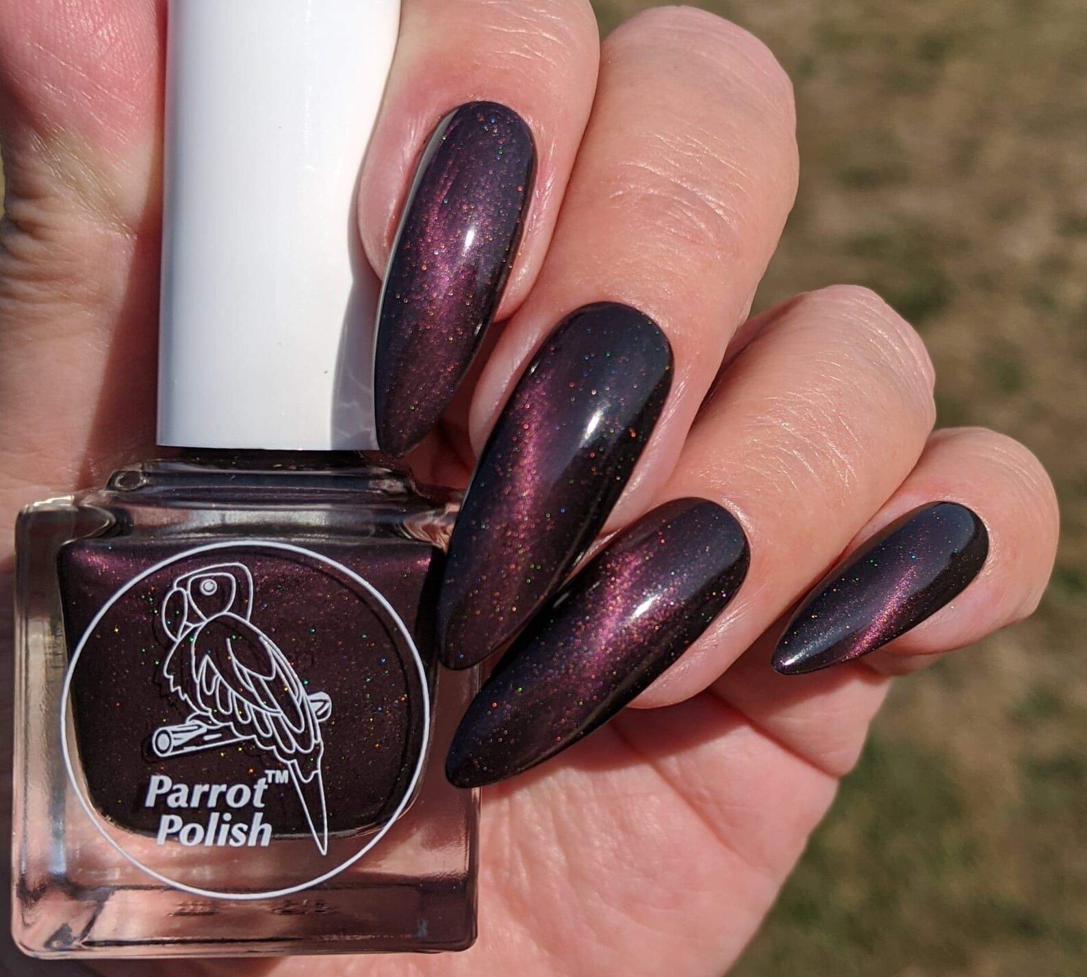 Parrot Polish Versatile Lady Magnetic Nail Polish Red/brown - Etsy