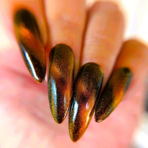 Parrot Polish calico Multichrome Magnetic Nail Polish Brown/black/gold ...