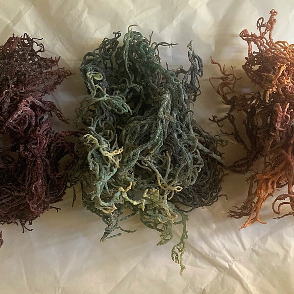 Wild Sea Moss - Etsy
